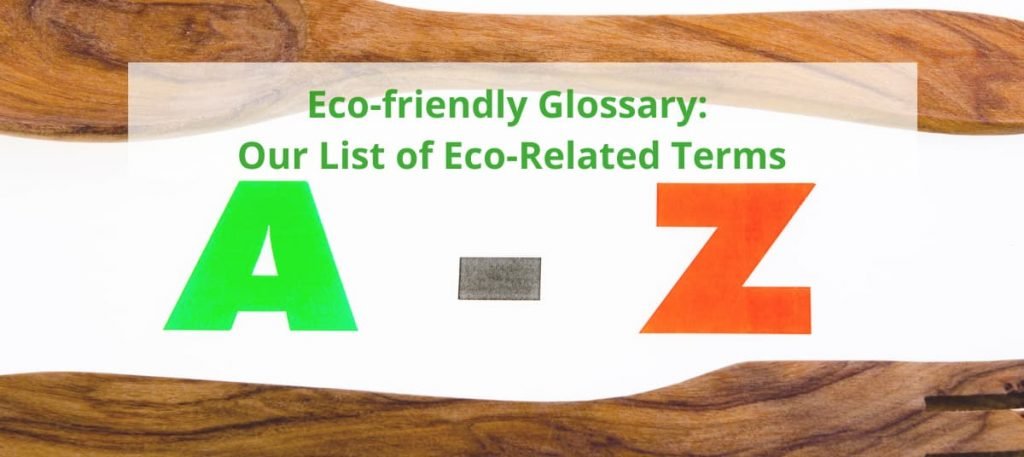 Ecofriendly Glossary: Our List Of Eco-Related Terms
