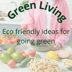 Helping You Live An Eco-friendly Life