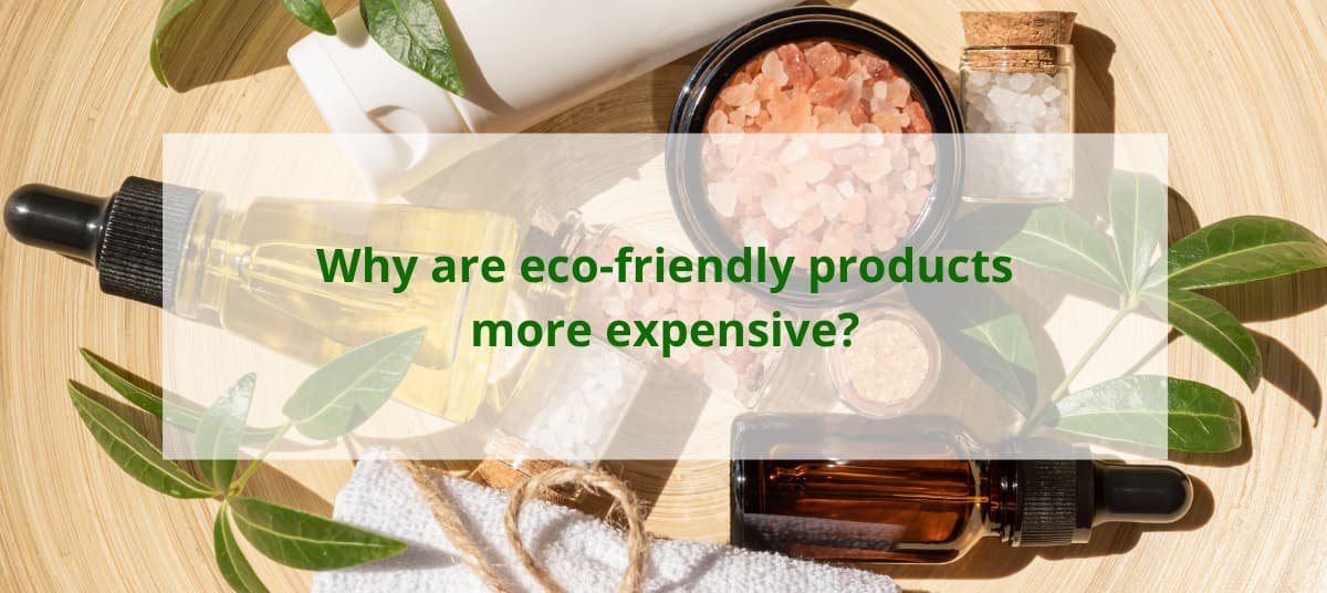 Why Are Eco-friendly Products More Expensive?